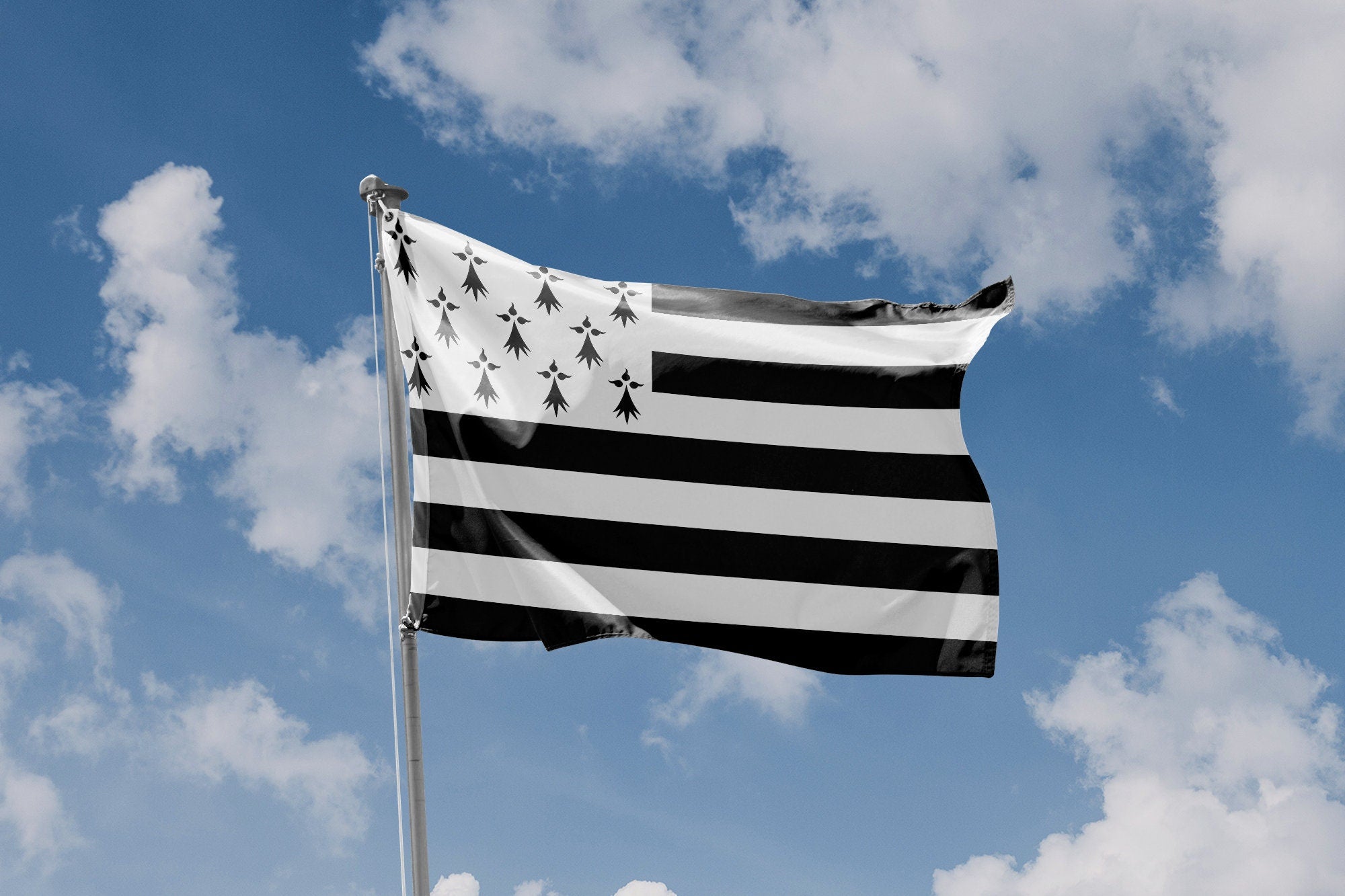 Flag Republic - Every flag tells a story!